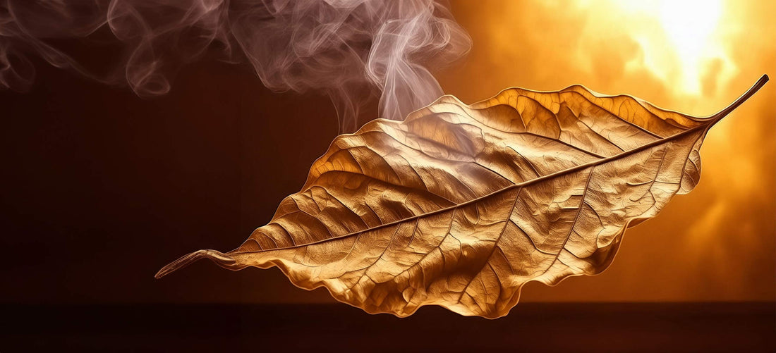 About NUSO Heated Tobacco Sticks | Discover the NUSO Difference – Nuso UK